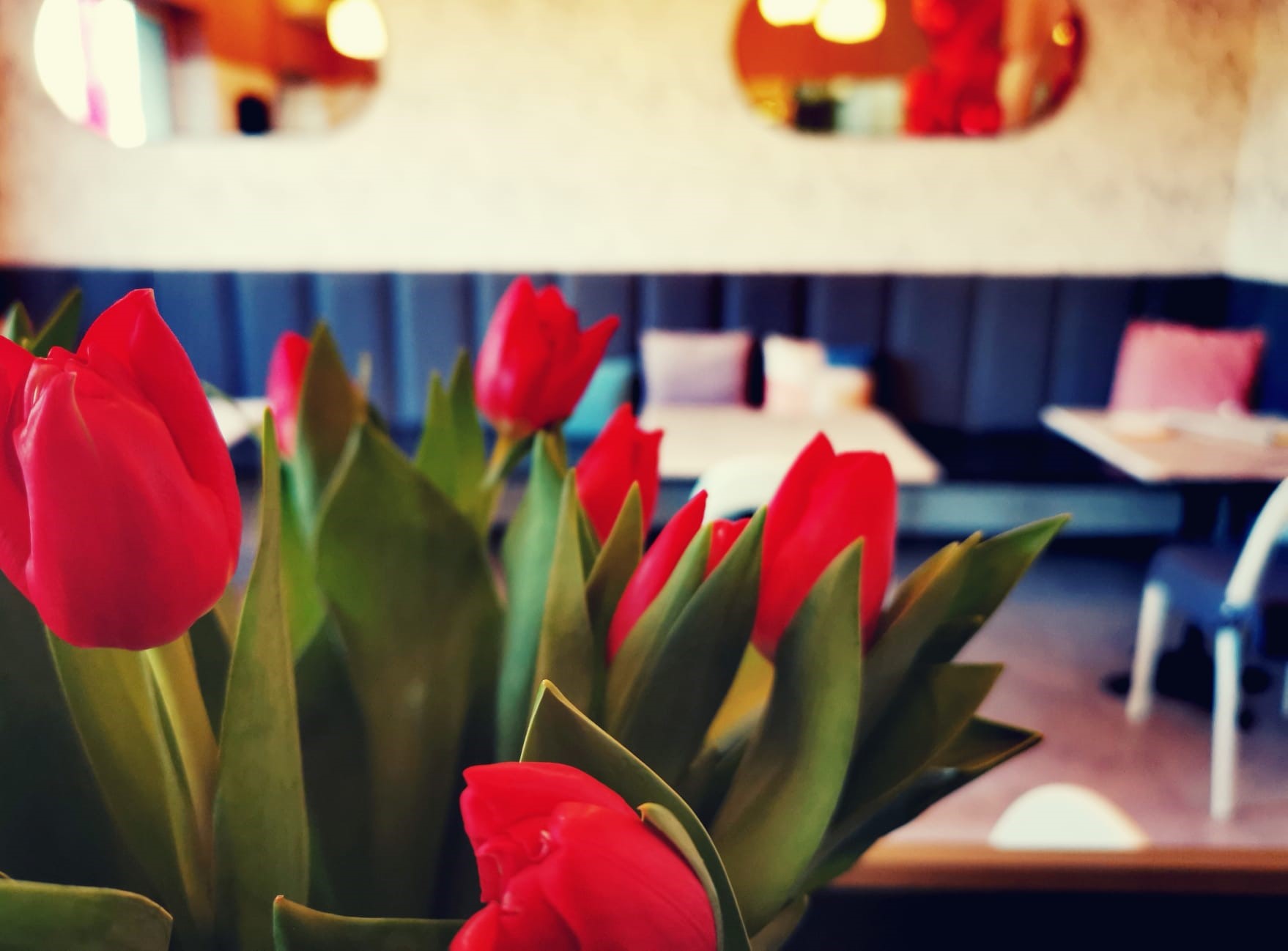 Pyszne Jedzenie w Środzie Wielkopolskiej | Obiady, Dowóz i Wynos ...